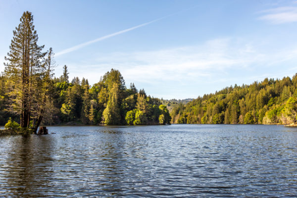6 Outrageously Scenic Picnic Spots - Visit Santa Cruz County
