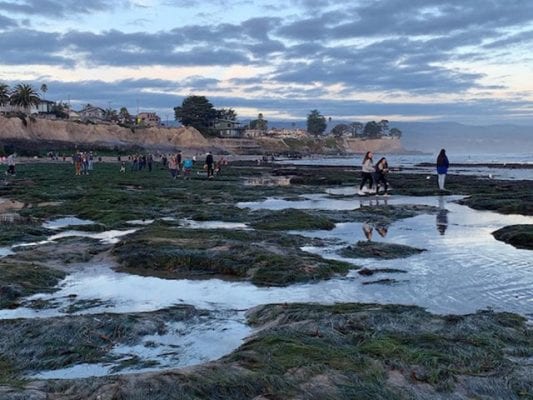 MARK YOUR CALENDAR: CALIFORNIA KING TIDES ARE COMING! - Visit Santa ...