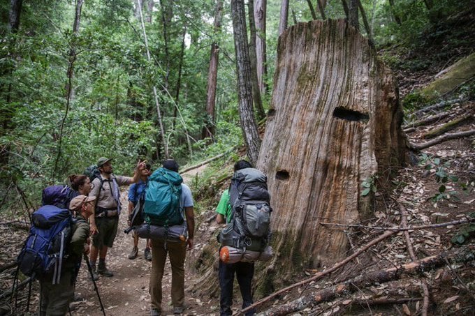 Backpacking in the Santa Cruz Mountains - Visit Santa Cruz County