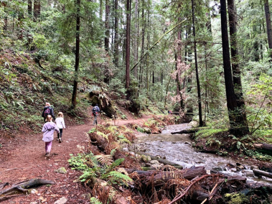 Hit Your Reset Button in Santa Cruz County - Visit Santa Cruz County