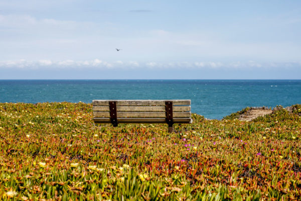 Top 5 Scenic Drives in Santa Cruz County - Visit Santa Cruz County