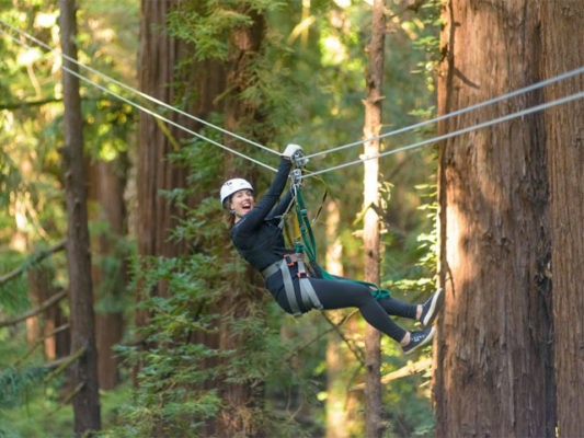 San Lorenzo Valley Spotlight - Visit Santa Cruz County