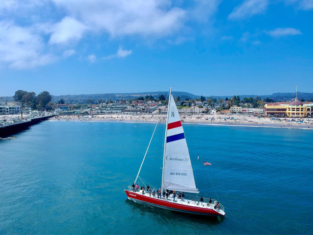 Best Ways to View Sea Life in Santa Cruz County - Visit Santa Cruz County