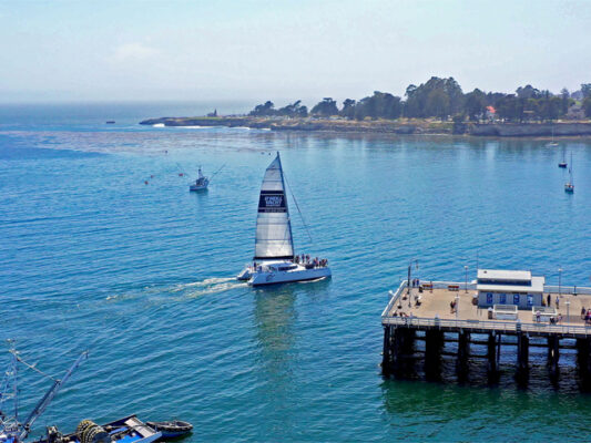 Best Ways to View Sea Life in Santa Cruz County - Visit Santa Cruz County