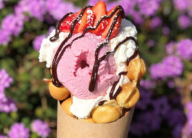 Best Ice Cream in Santa Cruz County - Visit Santa Cruz County