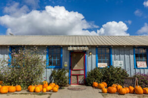 Coastal Farms & Pumpkin Patches - Visit Santa Cruz County