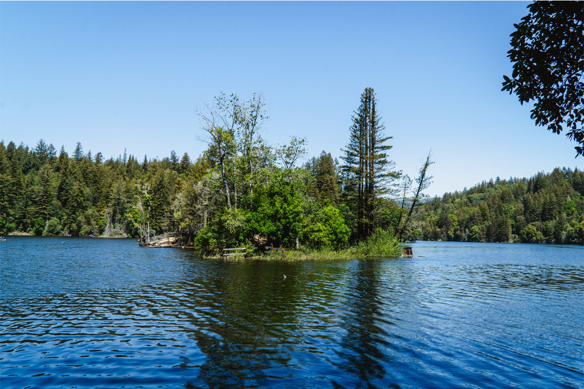 Beaches & Parks - Visit Santa Cruz County