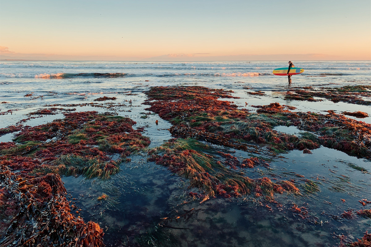 Things to Do - Visit Santa Cruz County