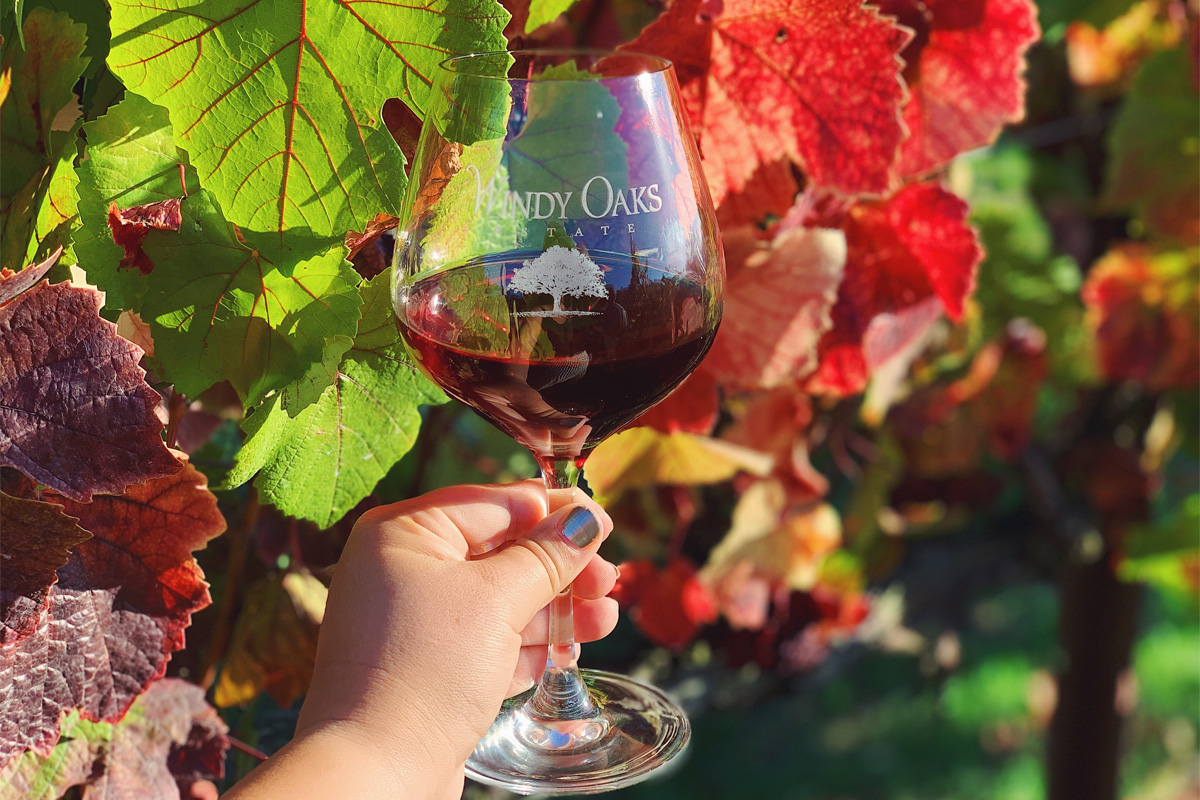 Wineries, Taps & Tastings - Visit Santa Cruz County