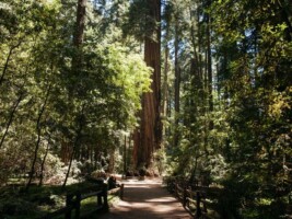 Home - Visit Santa Cruz County