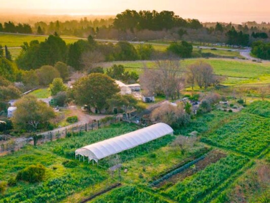 - Visit Santa Cruz County