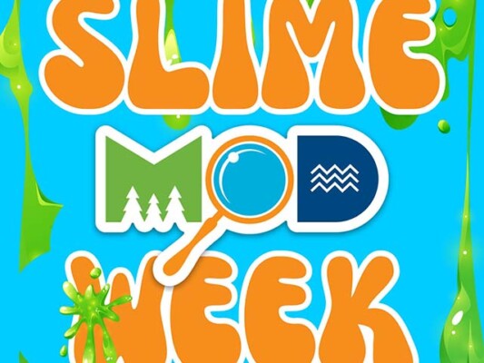 - Visit Santa Cruz County