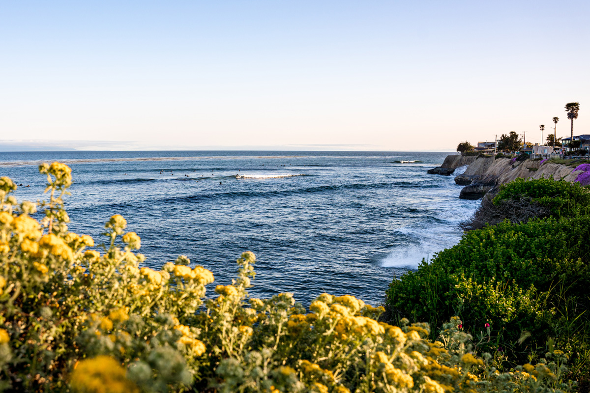 Home - Visit Santa Cruz County