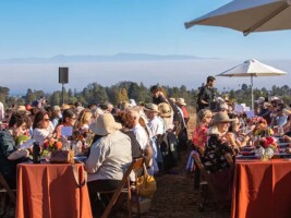 - Visit Santa Cruz County