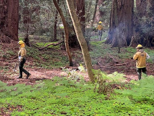 - Visit Santa Cruz County