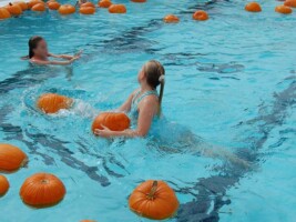 - Visit Santa Cruz County