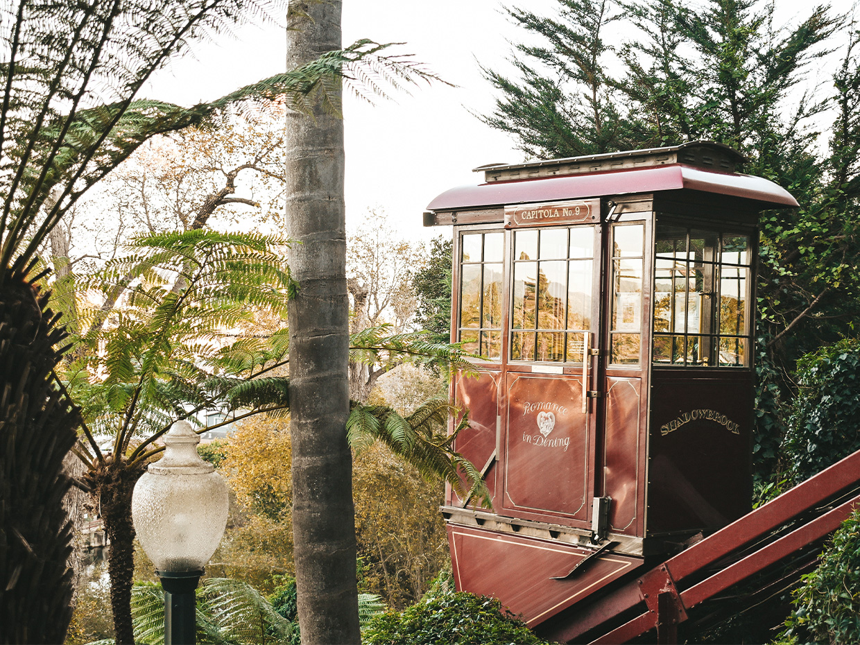 Home - Visit Santa Cruz County