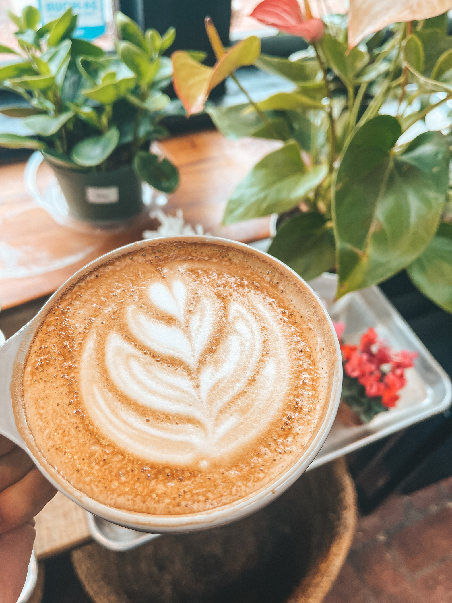 Best Coffee Brews & Bakery Bites - Visit Santa Cruz County
