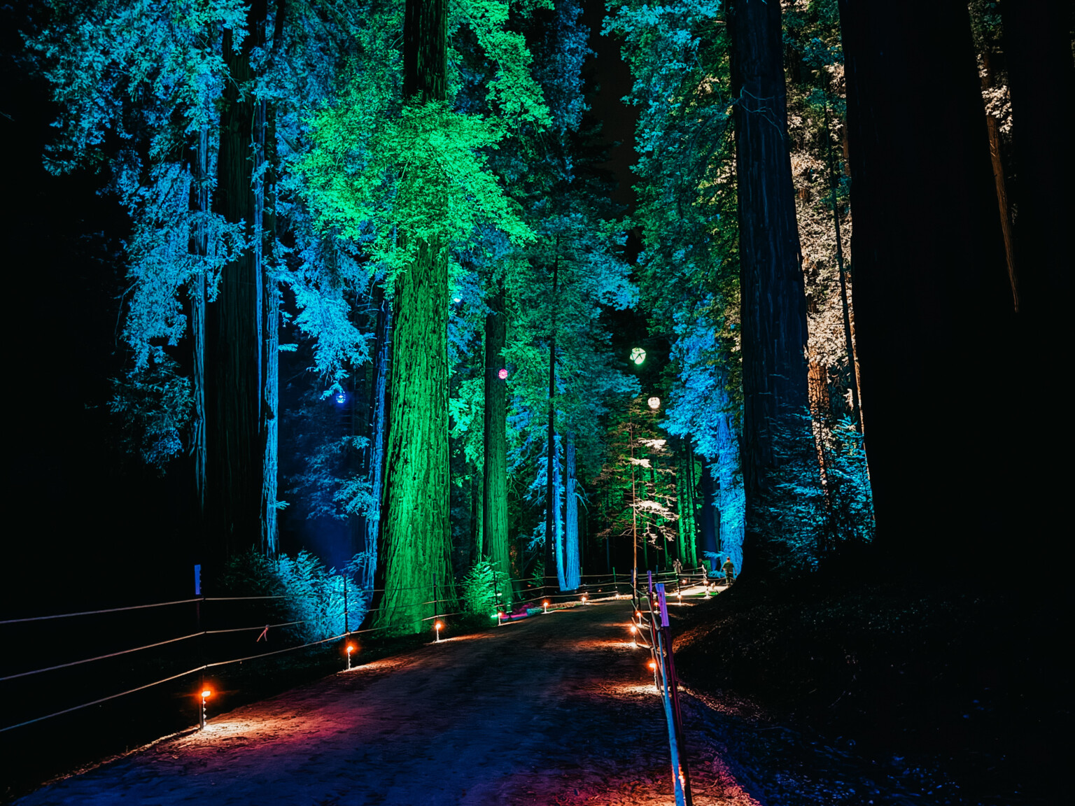 “Sequoias at Night”: Where Art and Dark Skies Meet - Visit Santa Cruz ...